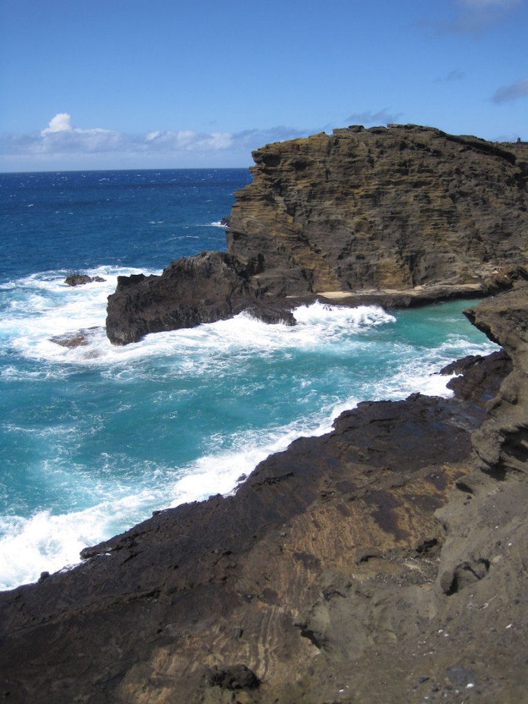 Island Passion Orange Guava Juice, tropical drink for easter,