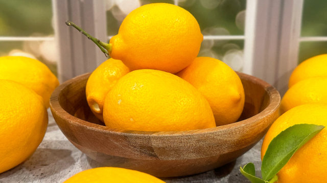 Myer Lemon Lemonade, homemade lemonade, easy summer recipe