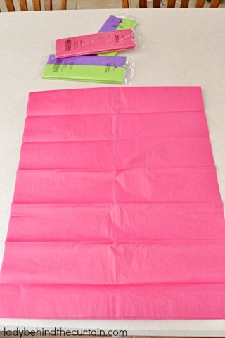 Giant Tissue Paper Flowers