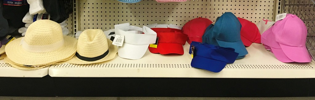 25 Things To Buy At Dollar Tree BEFORE Your Disney Trip