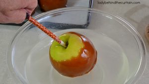 Candy Corn Caramel Apples