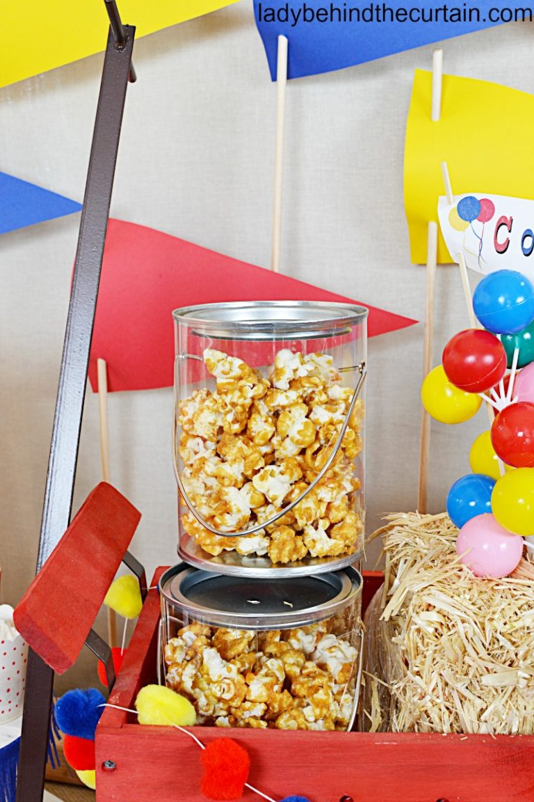 Country Fair Birthday Party