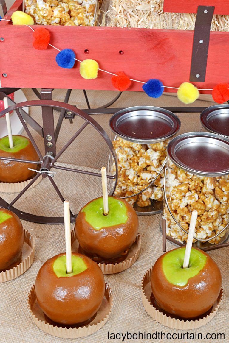 Country Fair Birthday Party