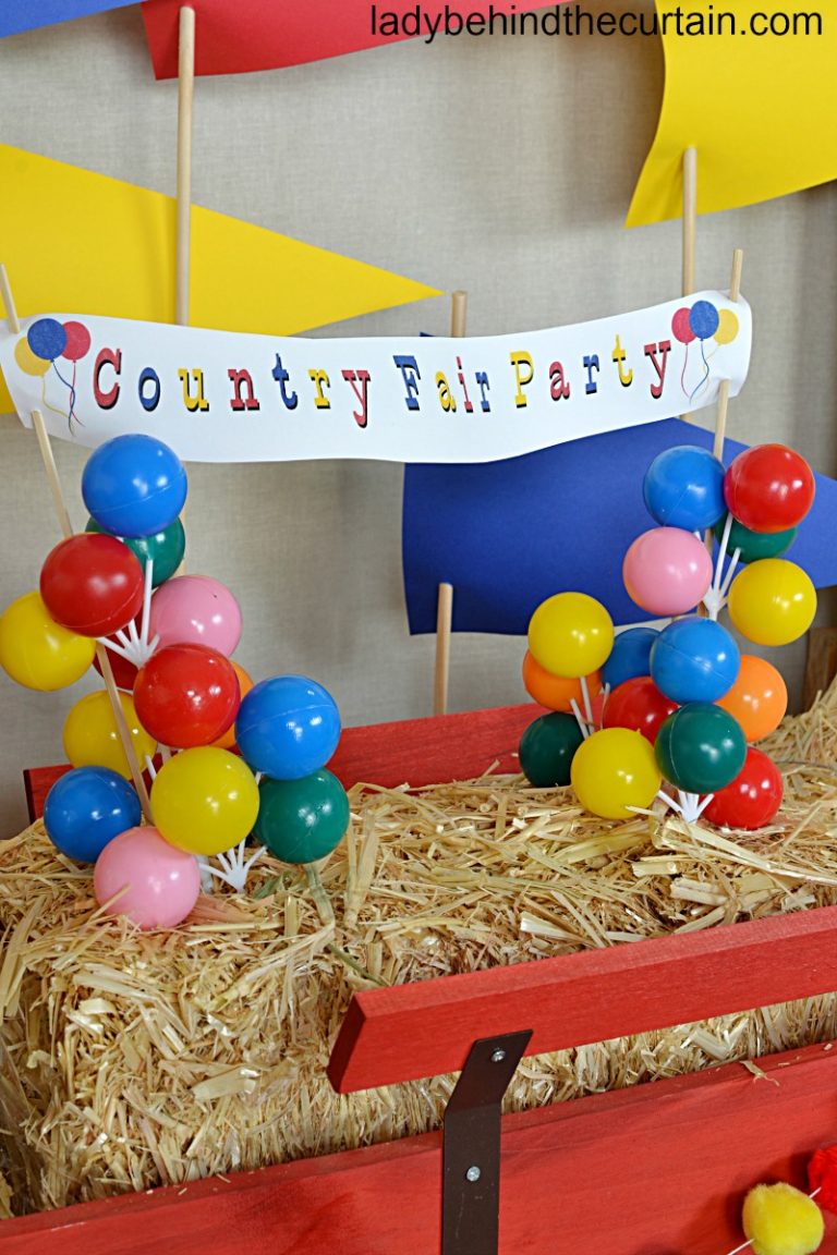 Country Fair Birthday Party