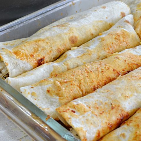 Chicken Enchiladas, homemade red sauce, potluck, mexican dinner party