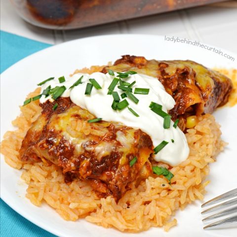 Chicken Enchiladas, homemade red sauce, potluck, mexican dinner party