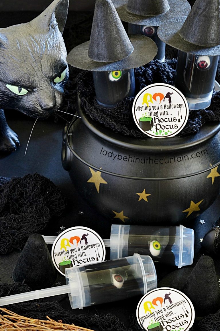 Hocus Pocus Pillow Slime Party Favors