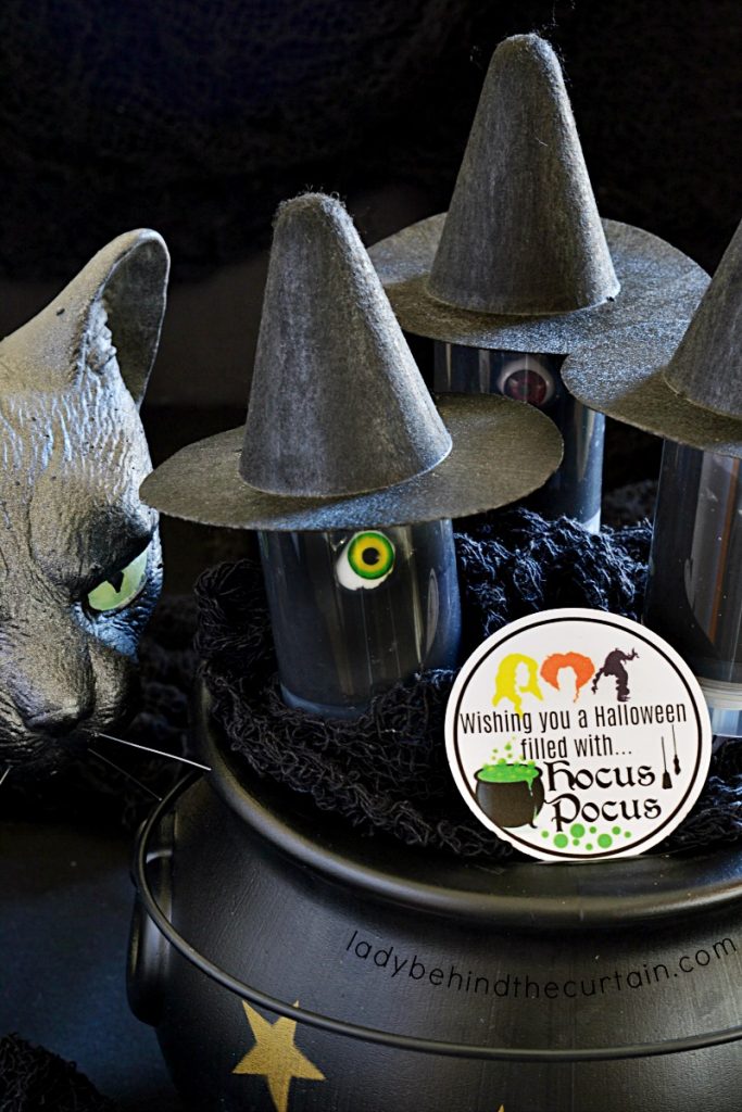 Hocus Pocus Pillow Slime Party Favors