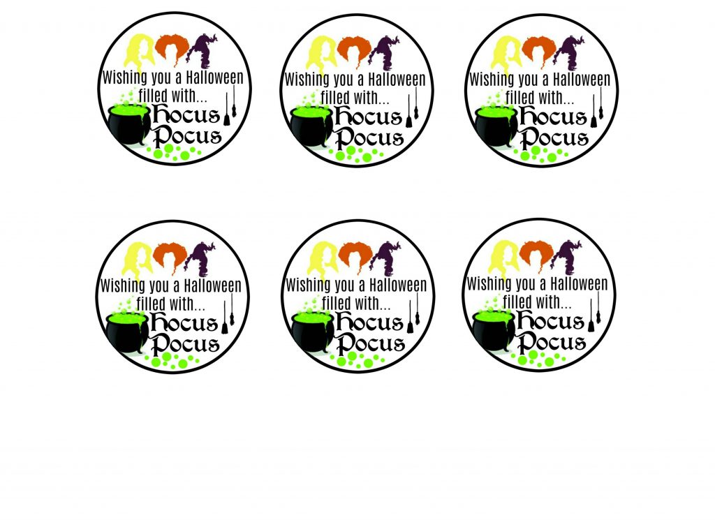 Hocus Pocus Pillow Slime Party Favors