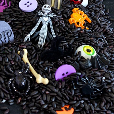 How to Make a Halloween Calming Find It Game