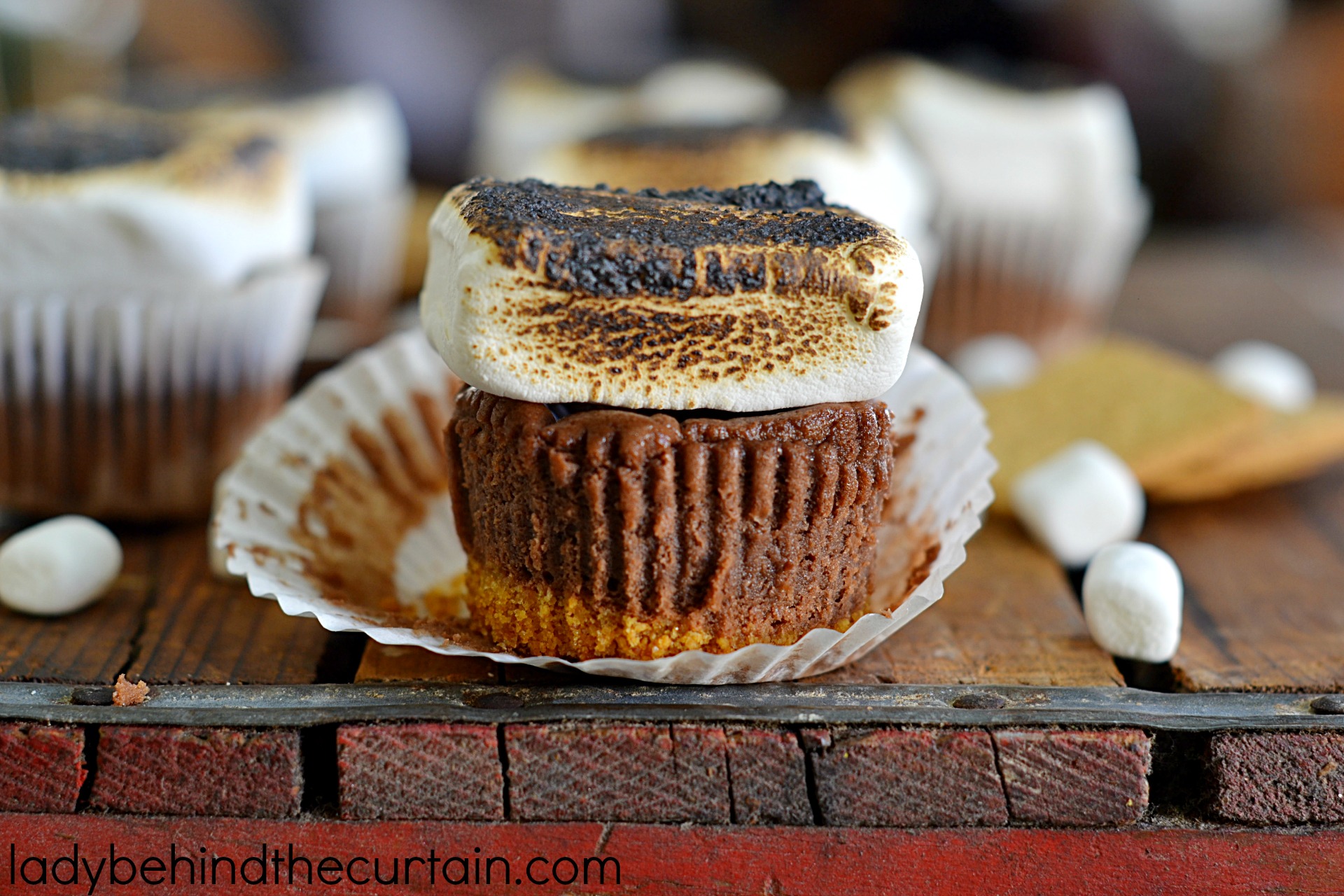 Mini S'more Cheesecakes
