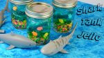 Shark Tank Jello