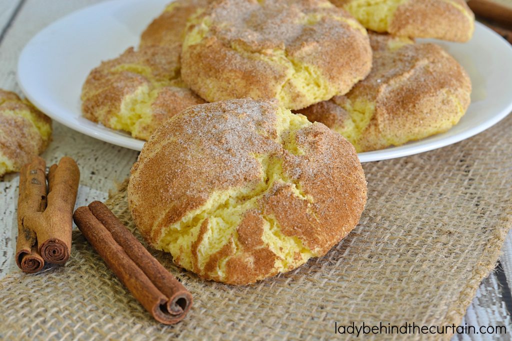 Snickerdoodle Cake Mix Cookie Recipe