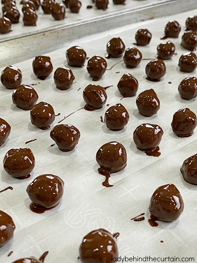 Dark Chocolate Pretzel Rounds