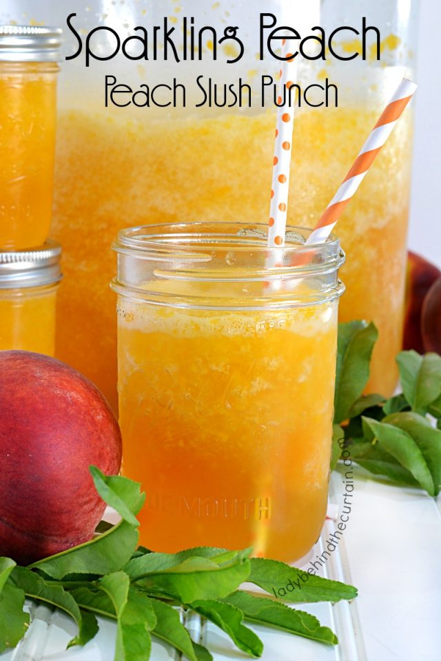 Sparkling Peach Slush Punch