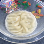 Mini Jello Fish Tank Party Treat