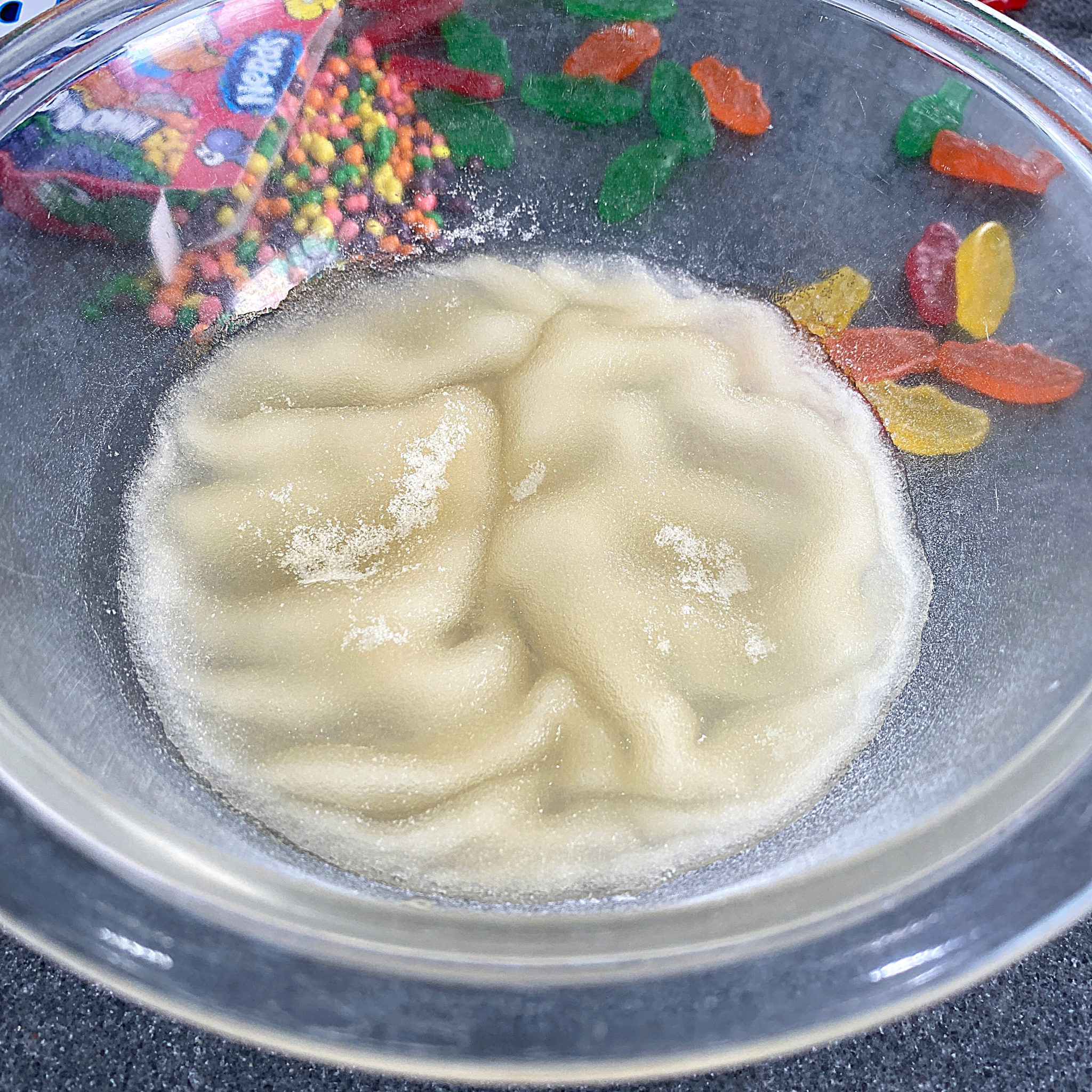 Mini Jello Fish Tank Party Treat