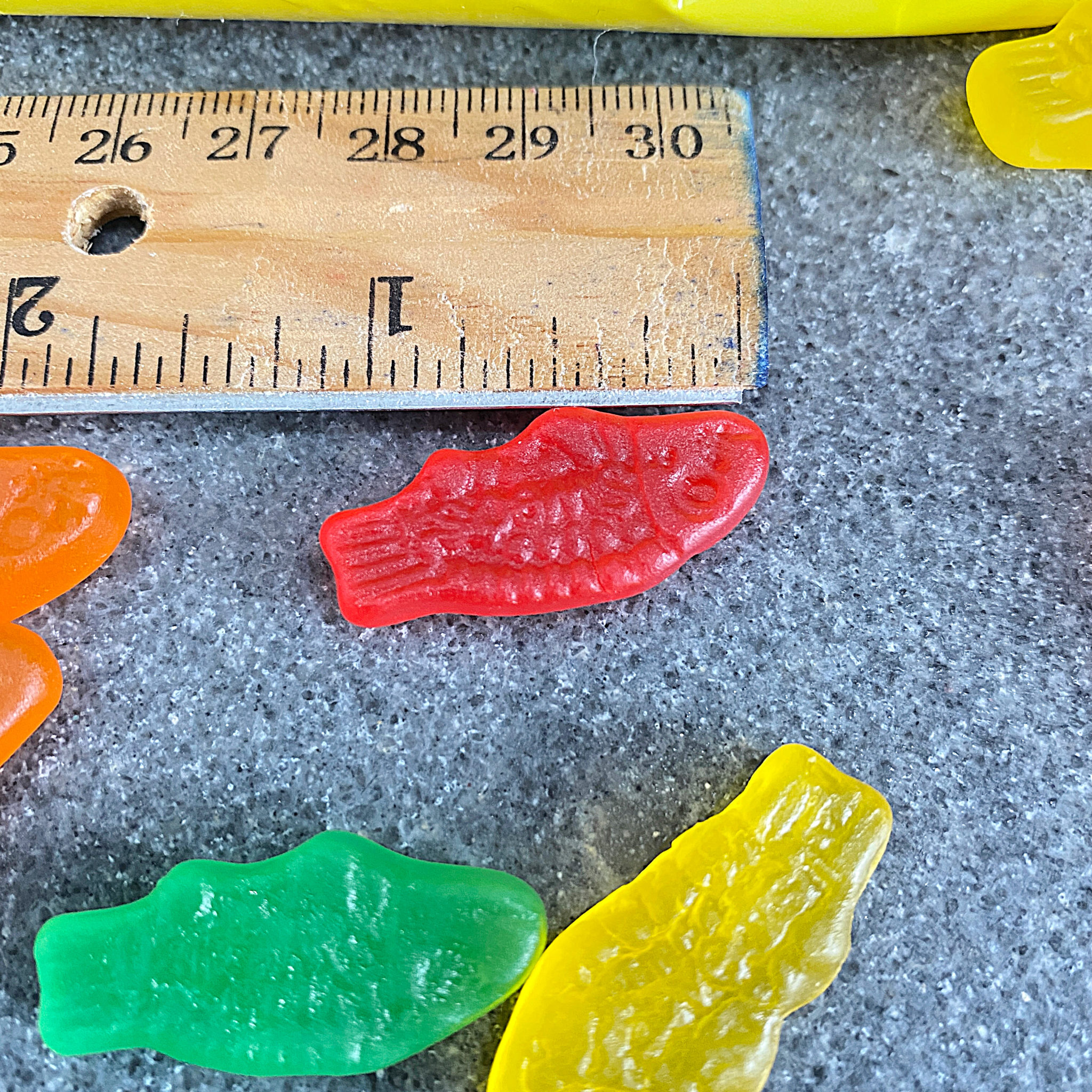 Mini Jello Fish Tank Party Treat