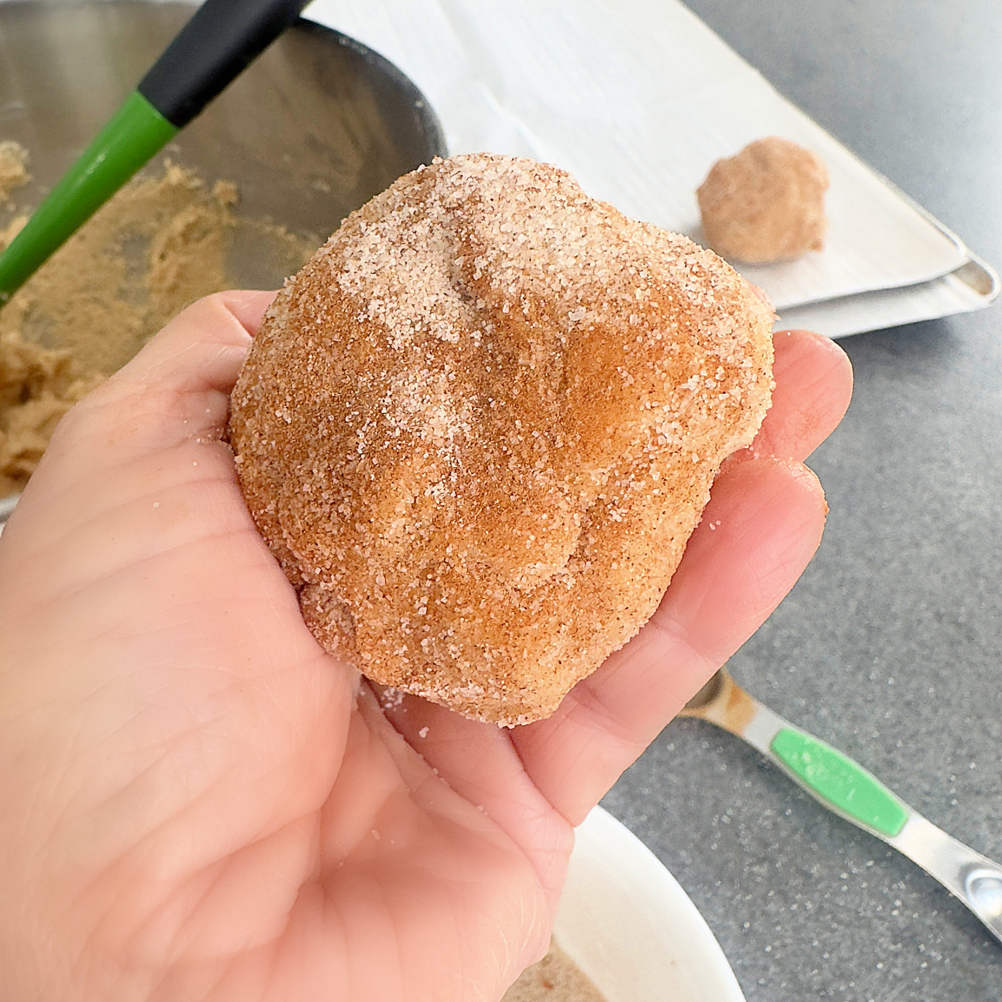 Large Gourmet Snickerdoodle Cookies