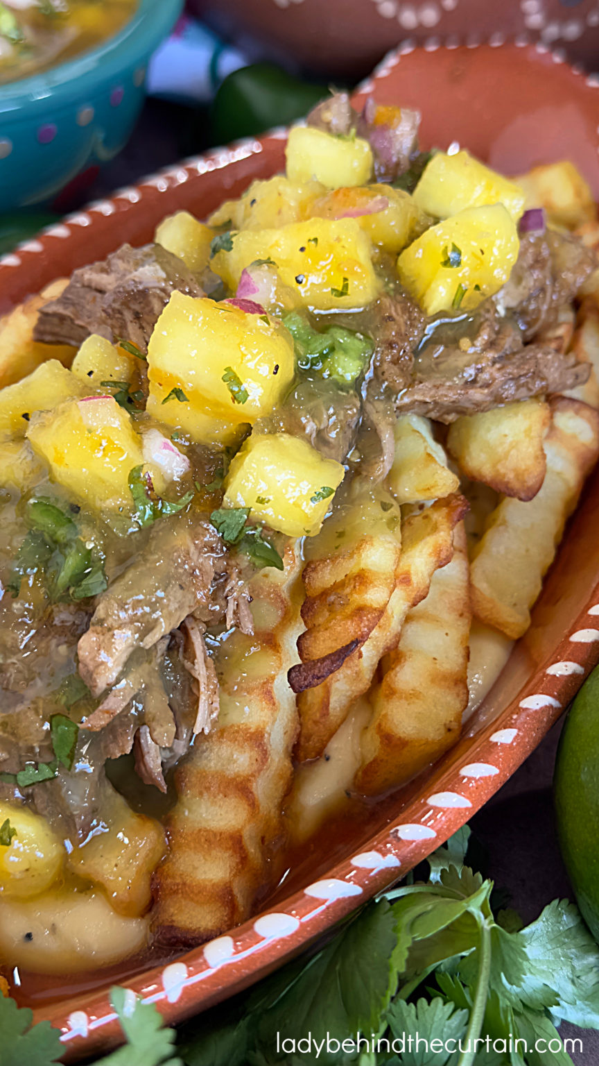 Copycat Disneyland Al Pastor French Fries