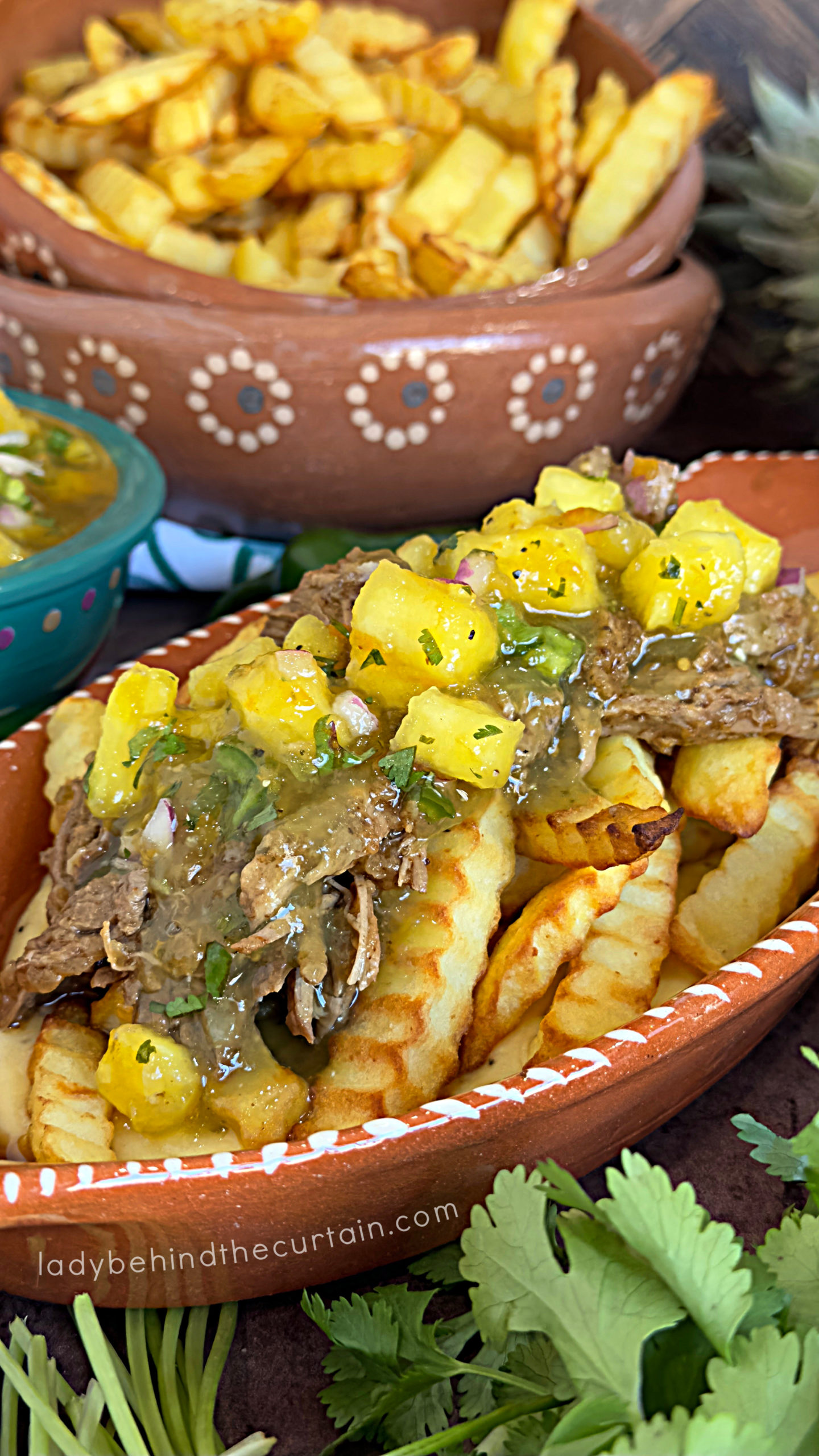 Copycat Disneyland Al Pastor French Fries