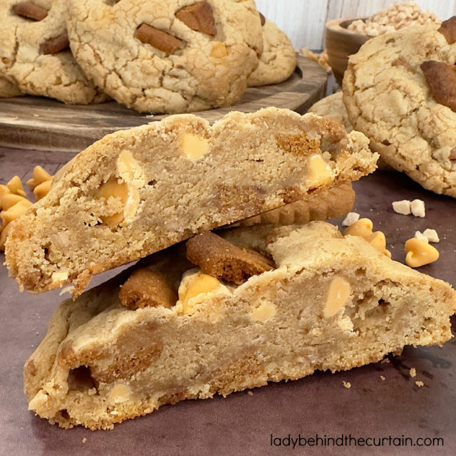 Gourmet Thick Cookie Butter Cookies