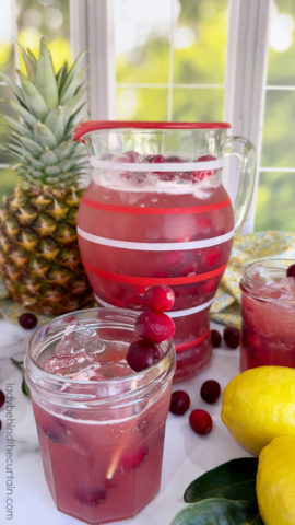 Berry Lemonade Ocean Water Punch