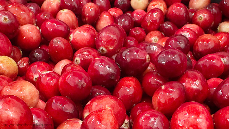 Over 40 From Savory to Sweet Cranberry Recipes