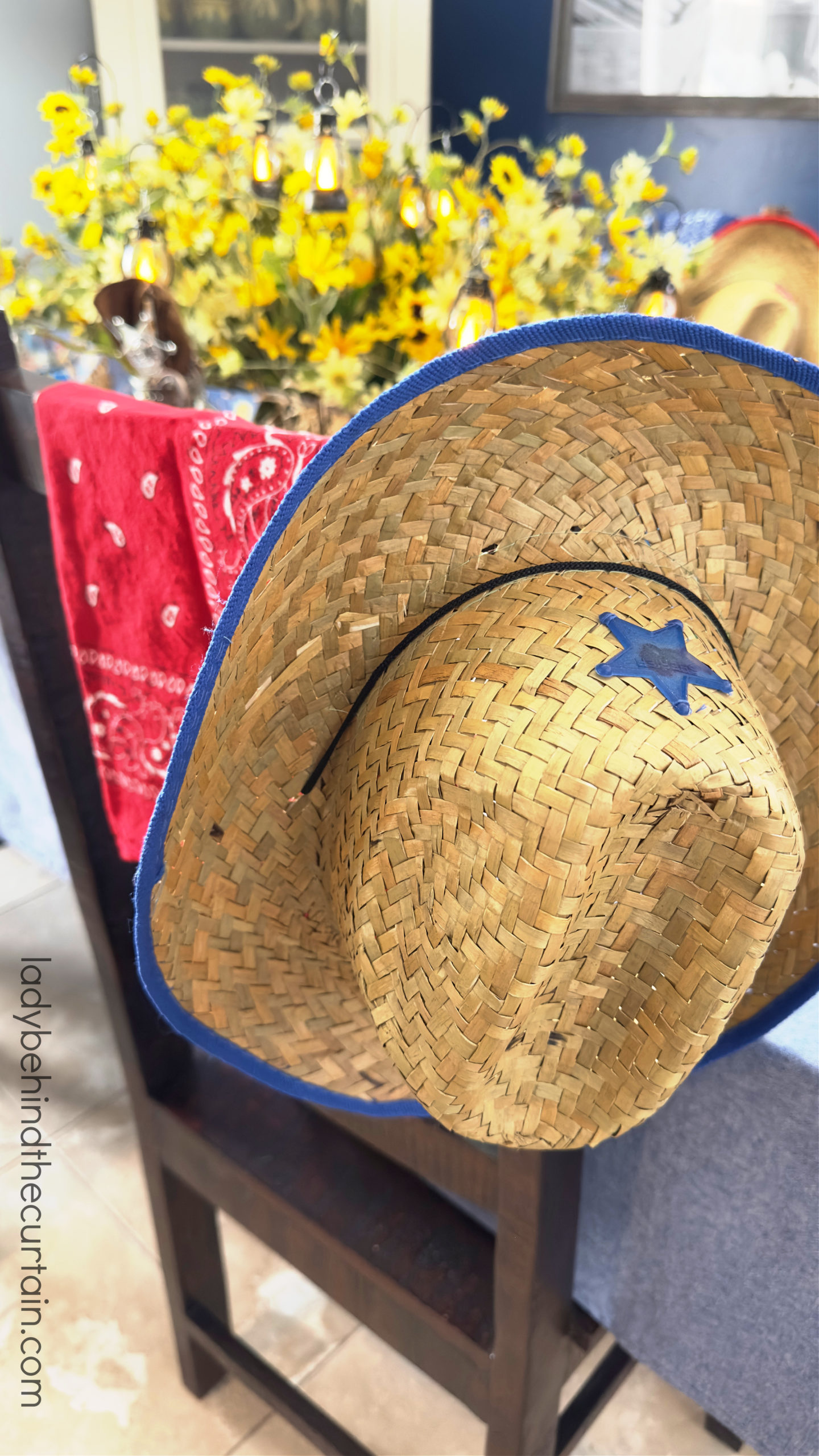 Western Themed Birthday Party Ideas + Video