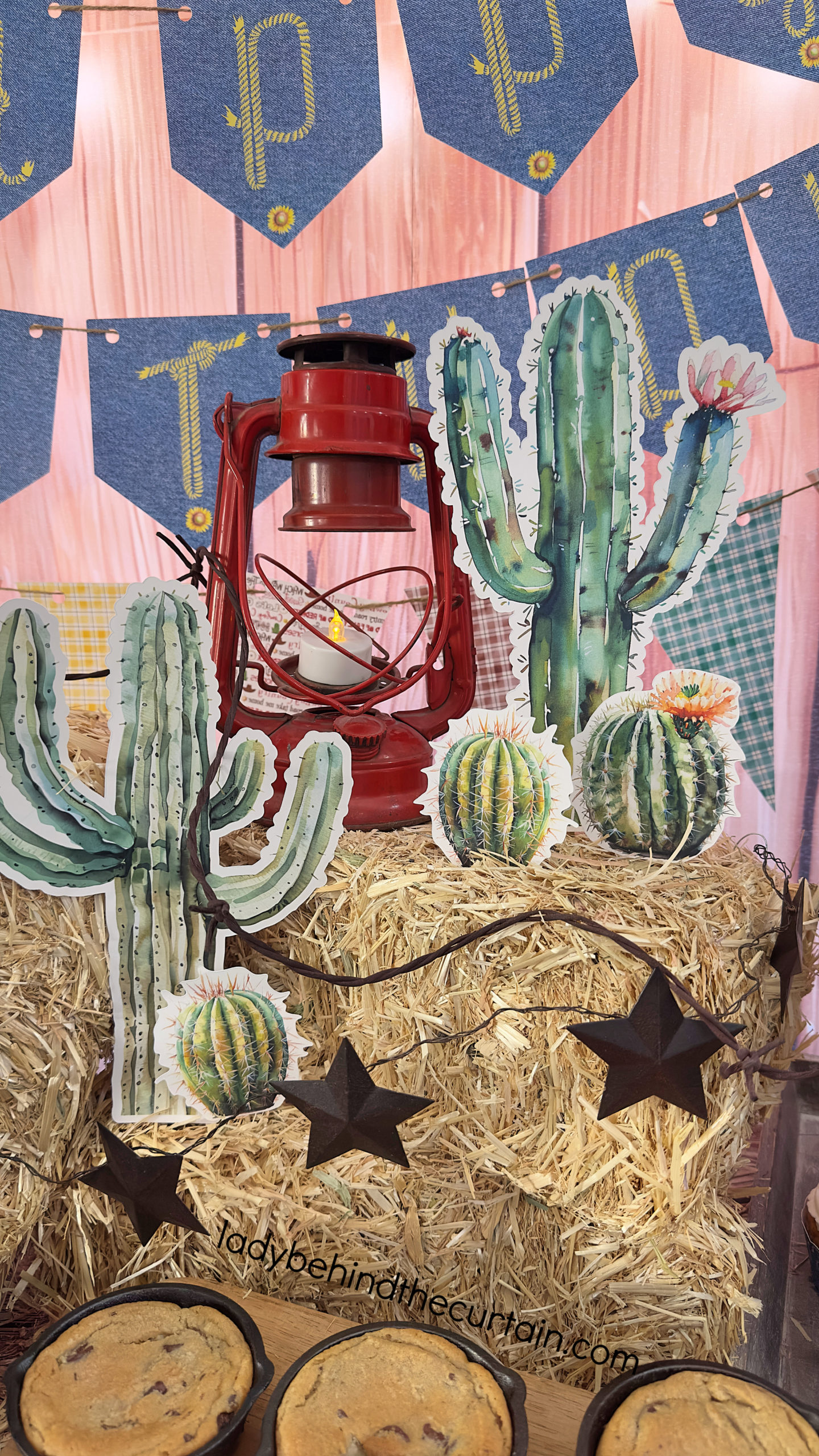 Western Themed Birthday Party Ideas + Video