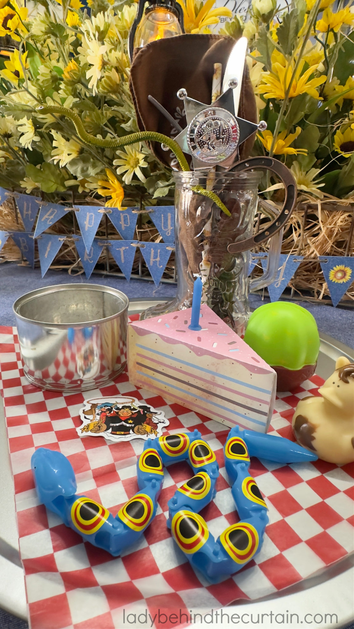 Western Themed Birthday Party Ideas + Video