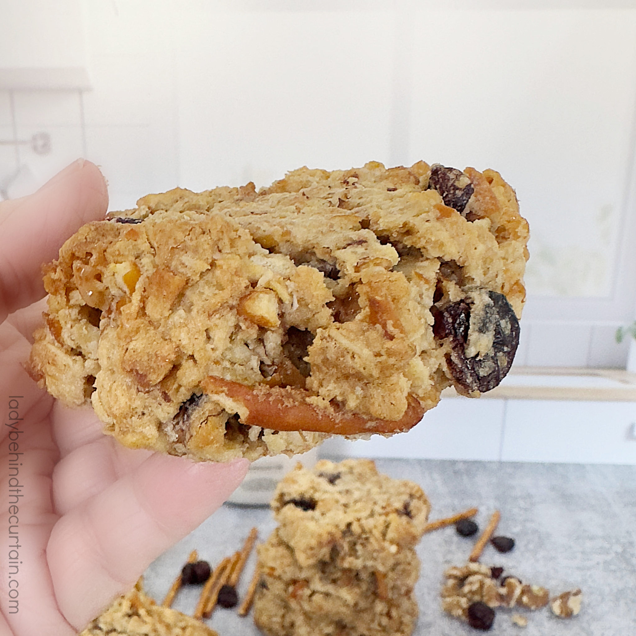 Large, Thick, Chewy, Bakery Size Oatmeal Trash Cookies